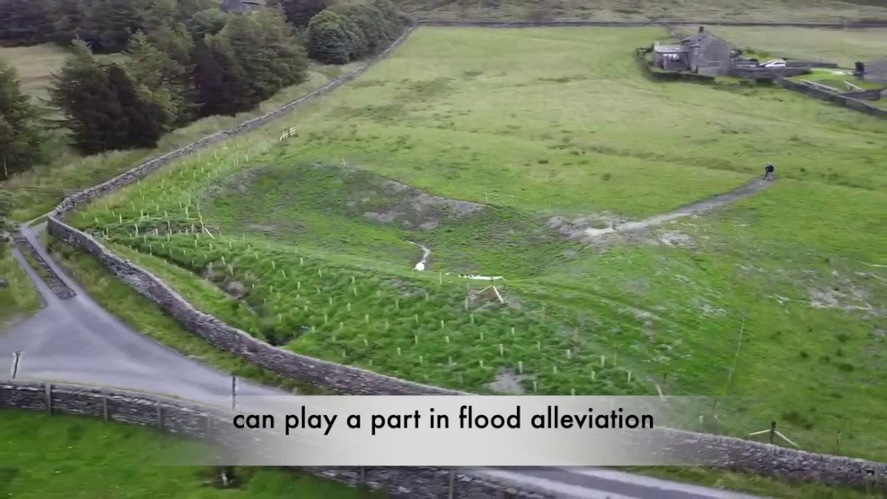 Old Town Slack Farm - YouTube