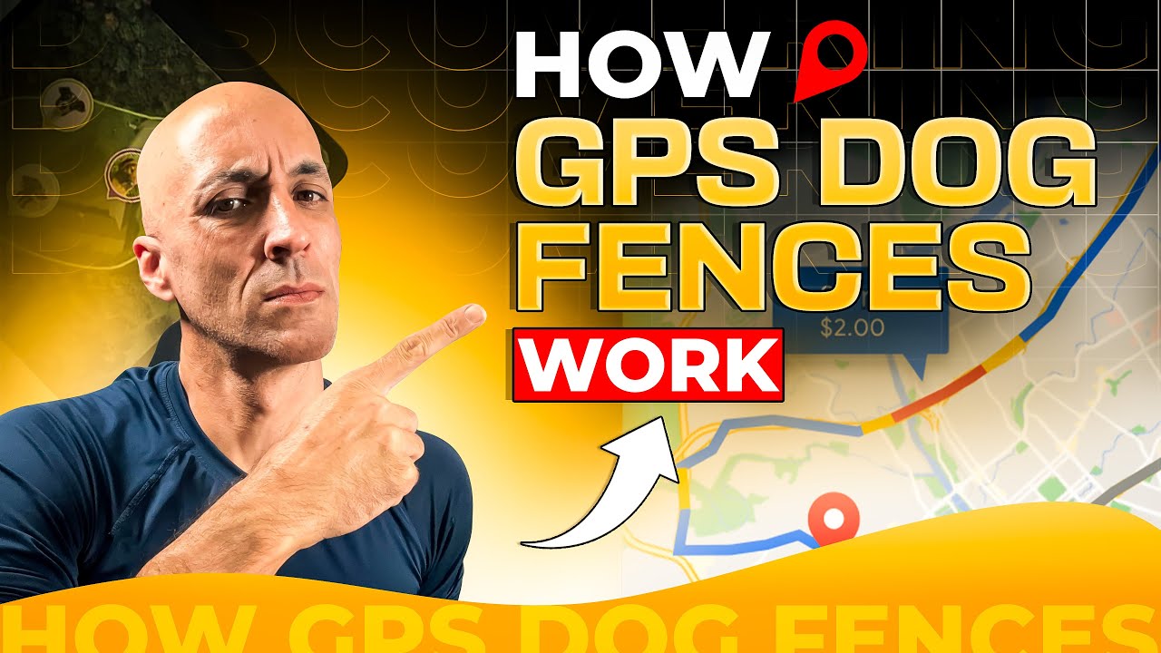 How GPS Dog Fences Work (And Why Your Dog Deserves One!) 🏡 - YouTube
