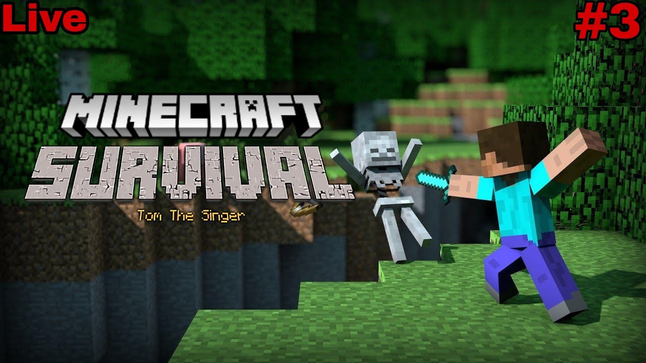 Minecraft Live Gameplay #3 Making A Villager Trading Hall | Tom The ...
