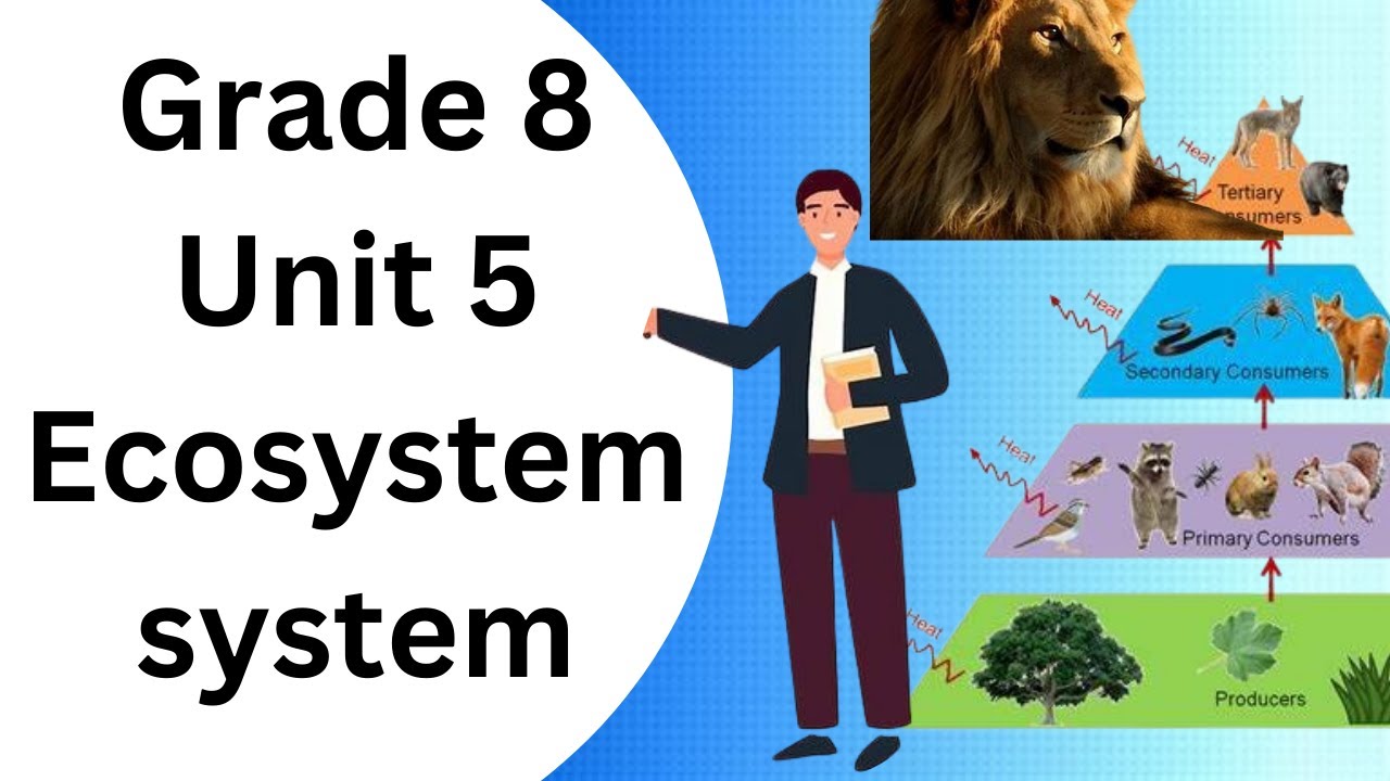 Ecosystem and tropic levels grade 8 unit 5 - YouTube