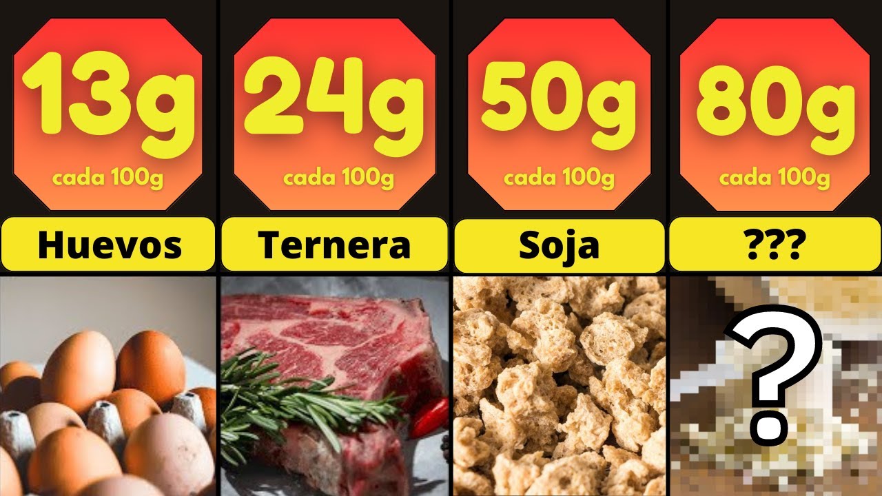 TOP 10 ALIMENTOS con MÁS PROTEÍNA del mundo🔥🌍 - YouTube