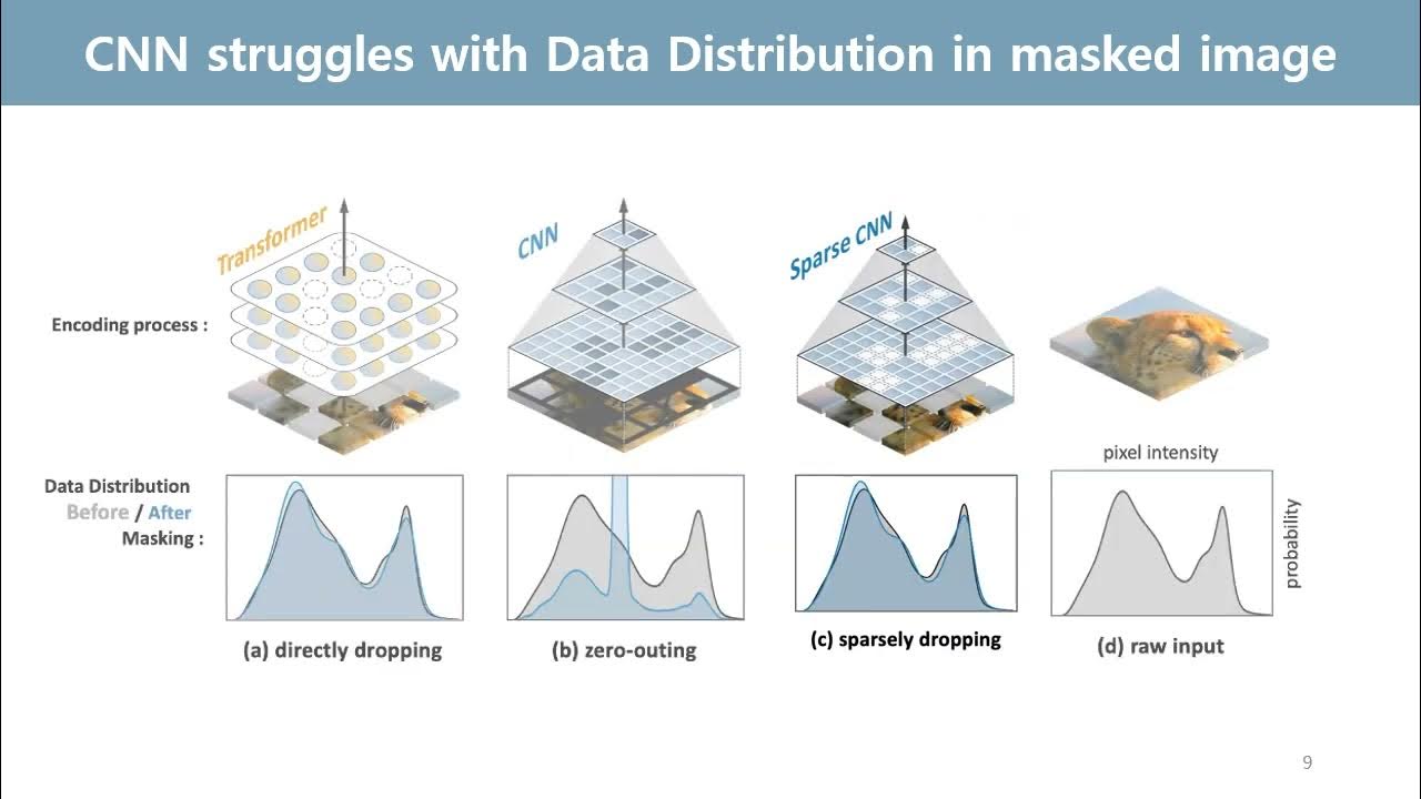 Designing bert for convolutional networks: sparse and hierarchical masked modeling - YouTube