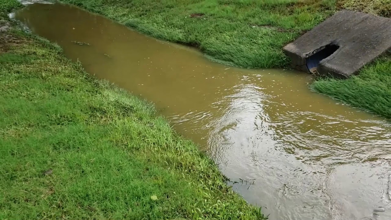 Muddy water mixing with clear water - YouTube