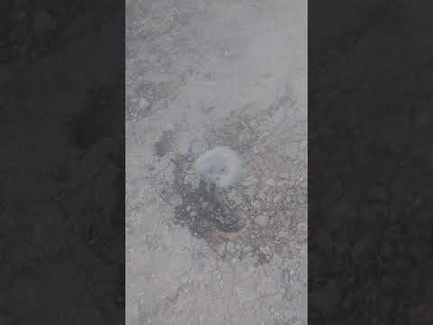 parte 1 da minha rotina da manhã
