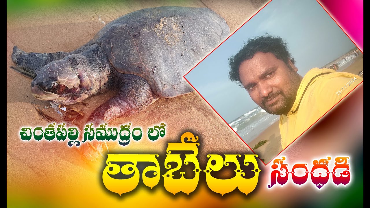 Chintapalli Beach.Beach.Govindapuram Temple.ocean. - YouTube