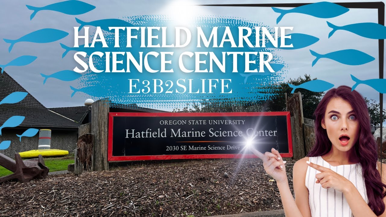 Oregon State University Hatfield Marine Science Center - YouTube