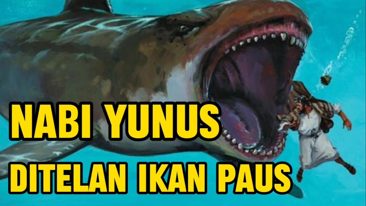KISAH NABI YUNUS | kisah nabi yunus as ditelan ikan paus - YouTube