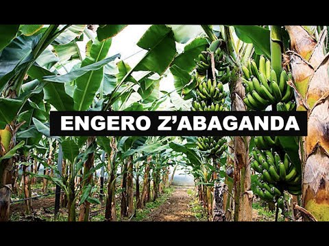 Engero z'Abaganda Episode 2 - YouTube