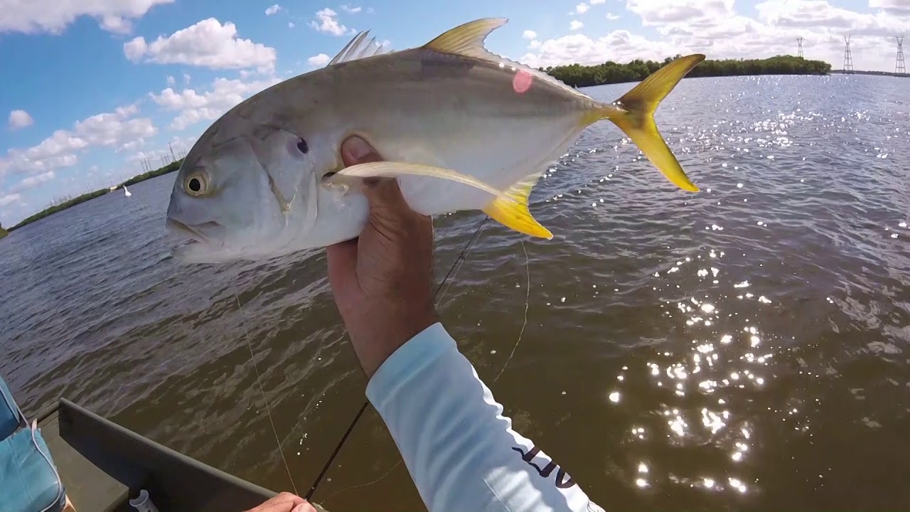 Jon Boat Fishing Saltwater Adventures - YouTube