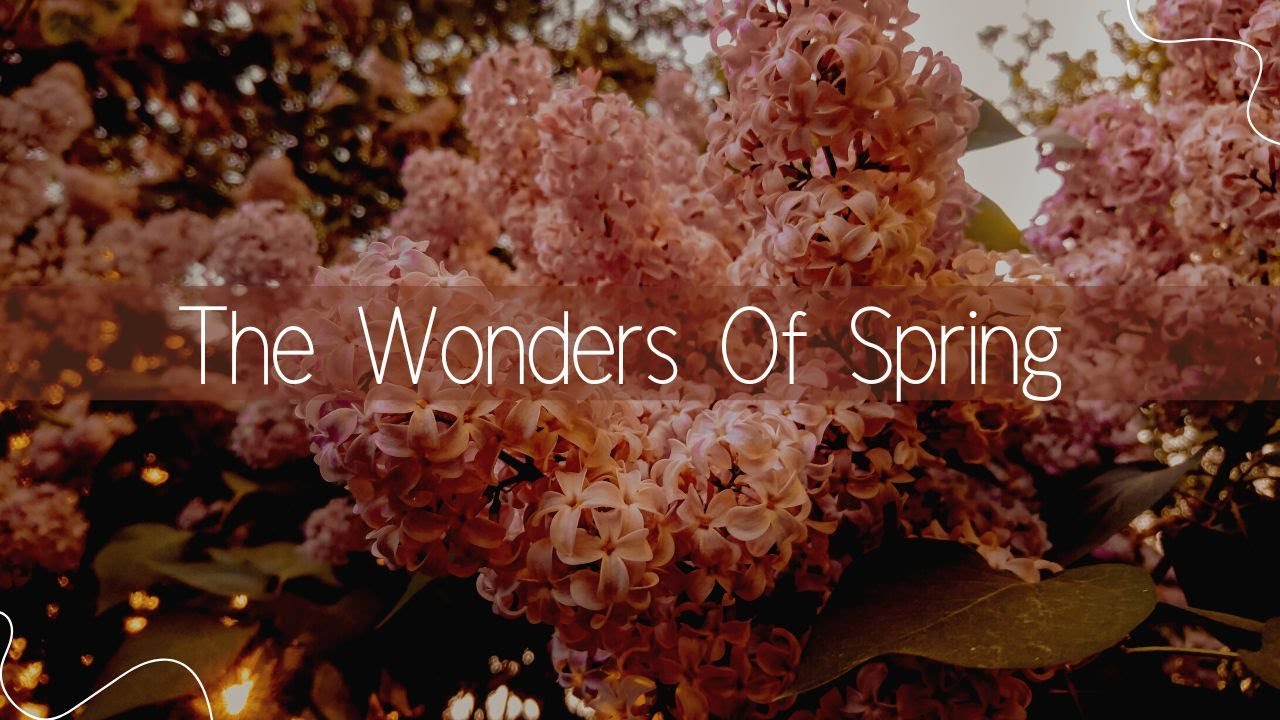 The Wonders of Spring - YouTube