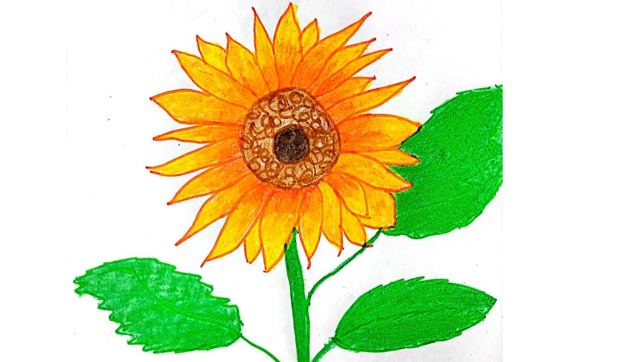 How to draw a sunflower/Child's drawing/Teaching painting/Simple ...