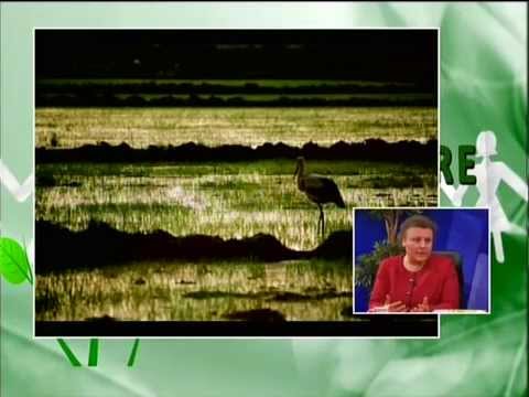 AKS TV  INSAN ESITTIR CEVRE-1 NİSAN 2014