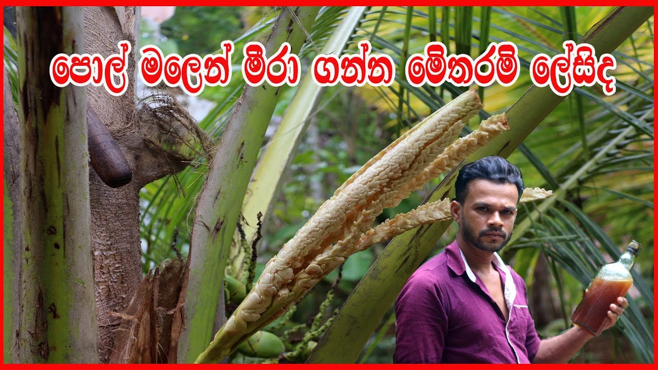 pol mal kapima | how to make a coconut flower | pol mal sadima - YouTube