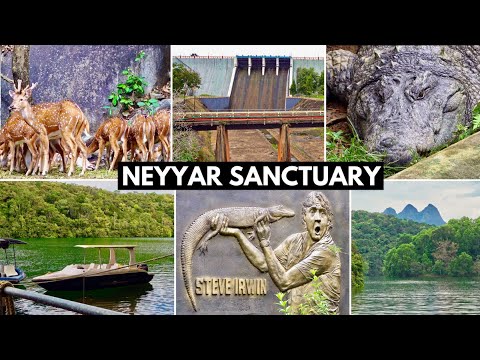 Complete Neyyar Wildlife Sanctuary tour in 4K | Neyyar dam | Trivandrum ...