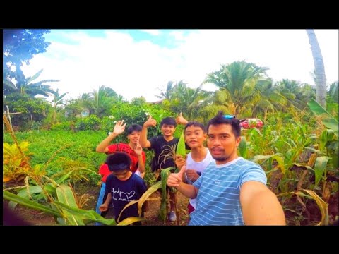 Ep1 - Visiting a friend's mini-Farm | Simple Life | Farm Visit - YouTube