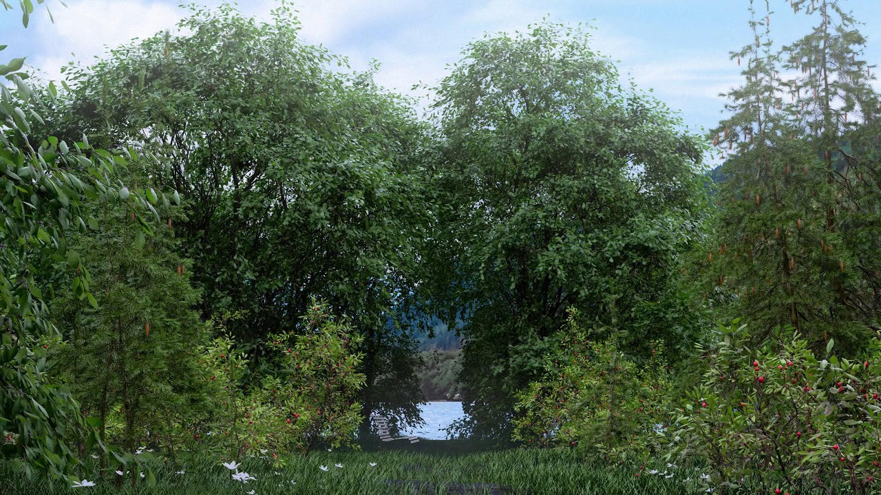 Timelapse forest growing - YouTube