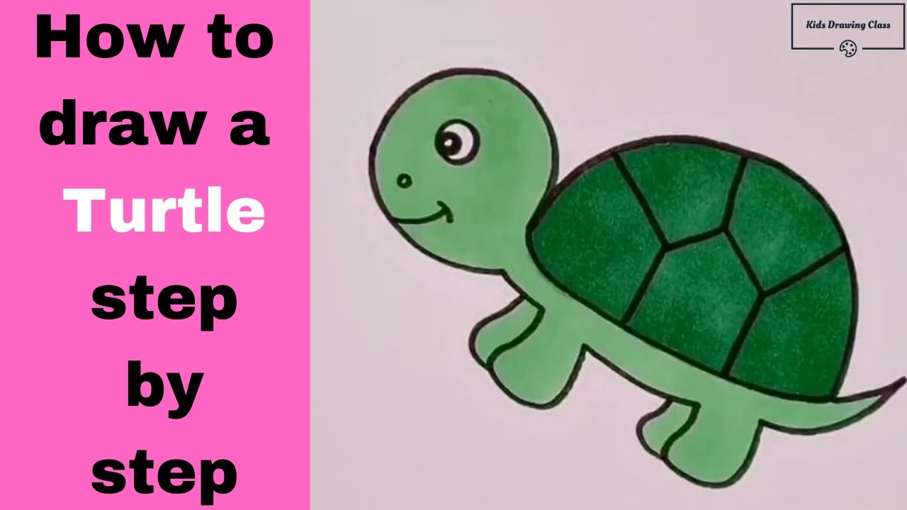 How to draw a Turtle step by step | පියවරෙන් පියවර ඉබ්බෙක් අදින ආකාරය ...