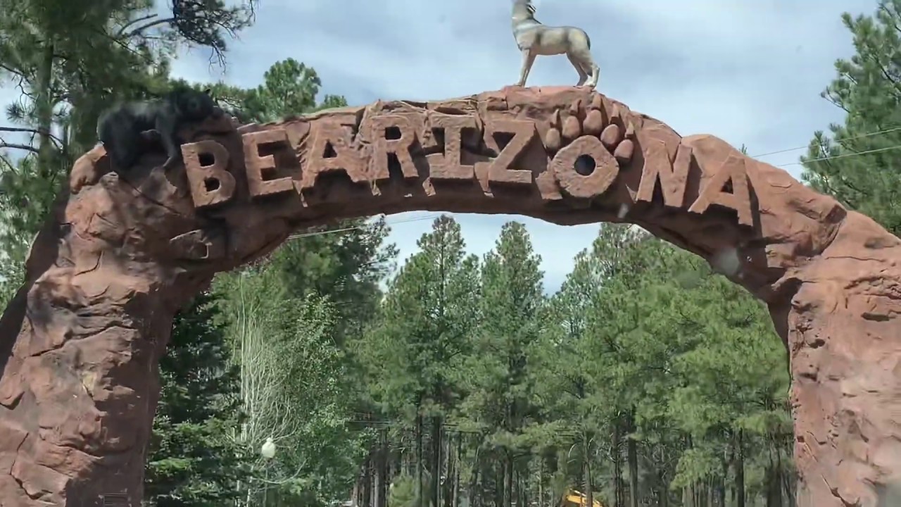 Bearizona Wildlife Park - YouTube