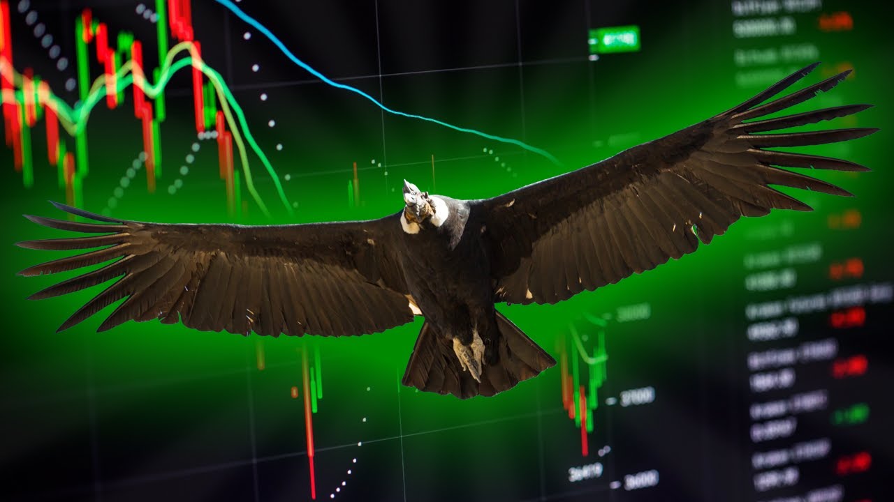 Stratégies d’options : Le Condor de fer | Mois de la formation Options ...