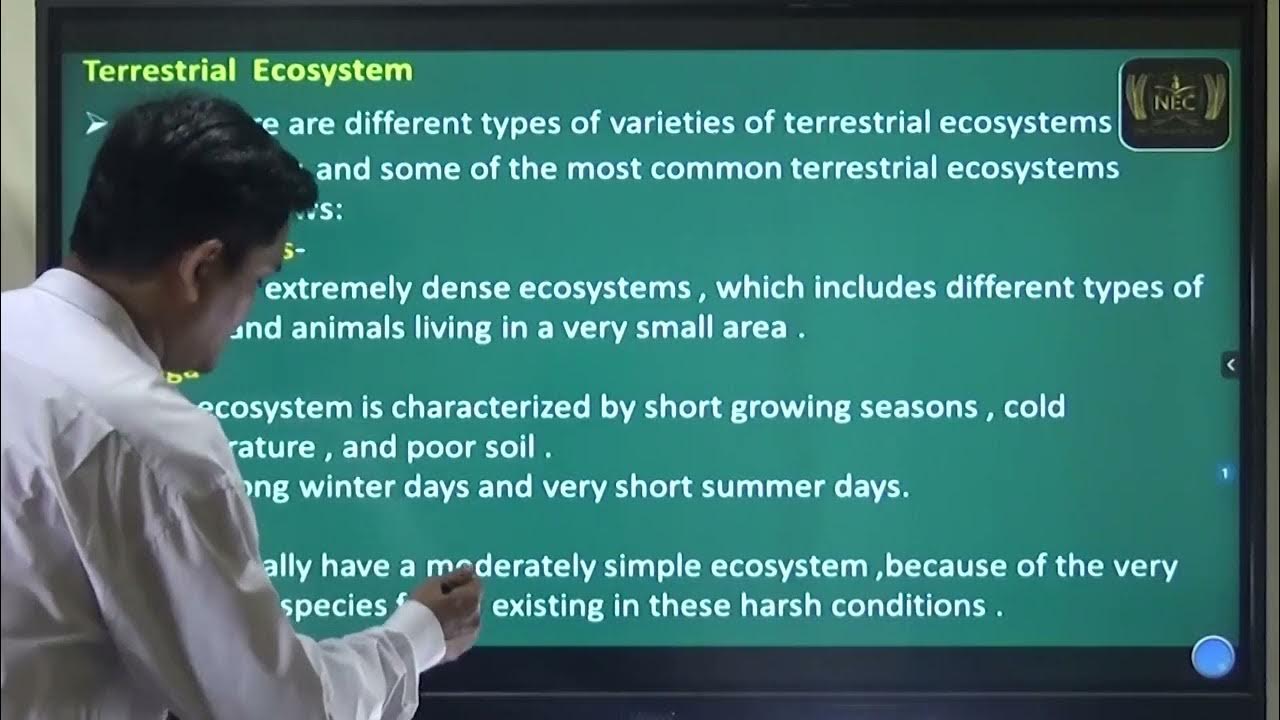 Chapter ( 6 ) Part 2 - YouTube