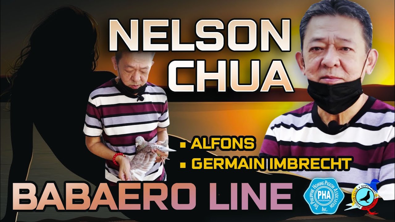 Episode 6 / NELSON CHUA - Quezon City, PHA PLAYER Pigeon Fancier - YouTube
