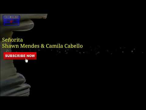 Señorita - Shawn Mendes, Camila Cabello Karaoke