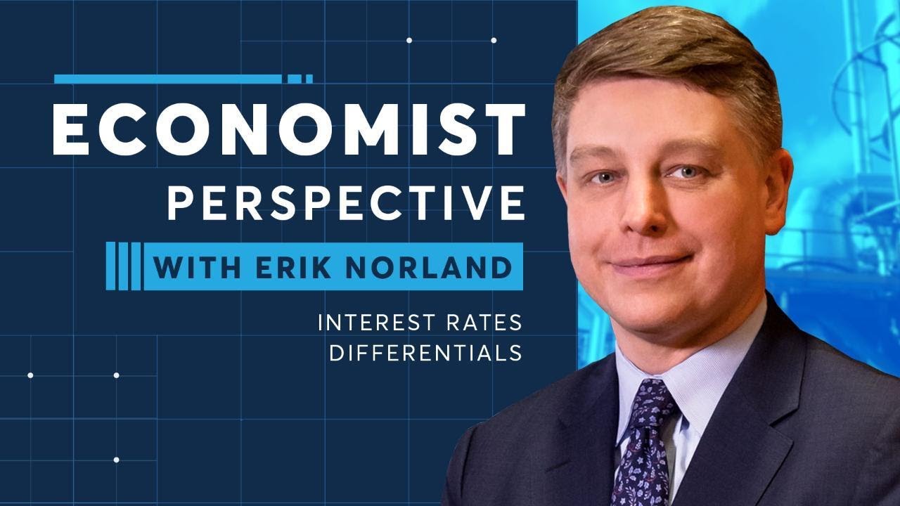 Economist Perspective: Interest Rate Differentials - YouTube