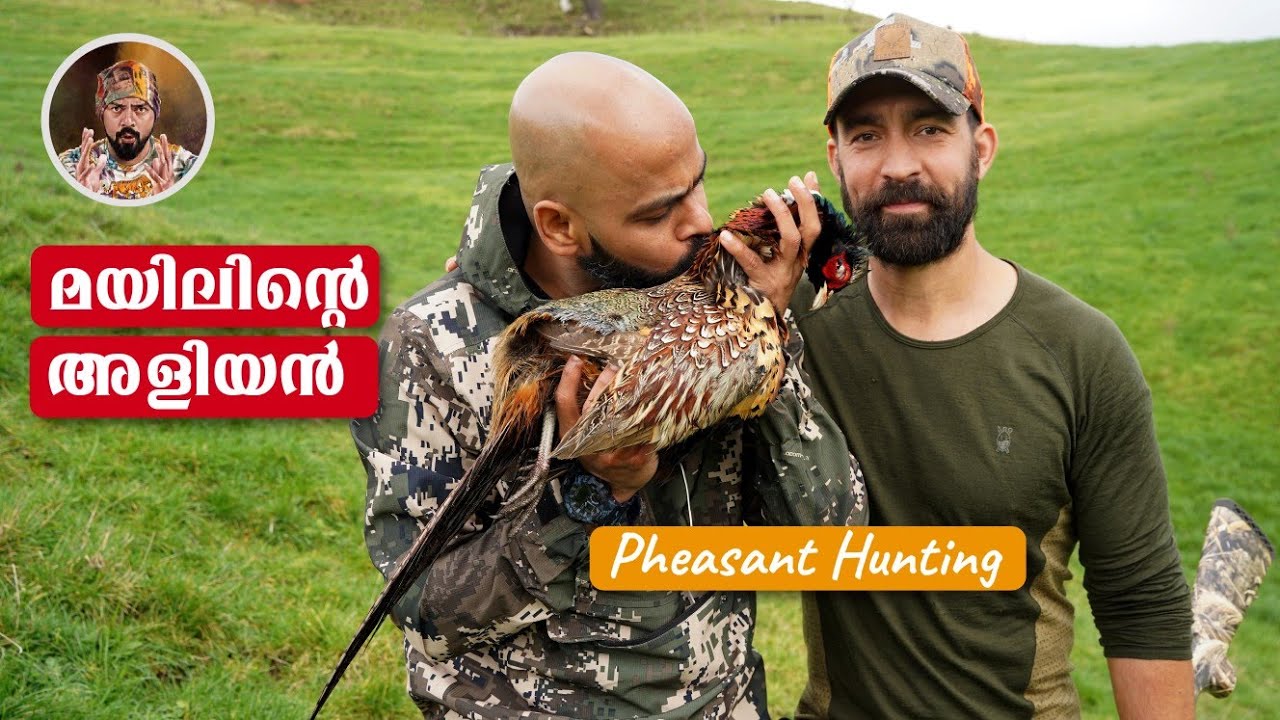 PHEASANT HUNTING| HUHU GRUB PICKING| BEST HUNTING| BIRD HUNTING - YouTube