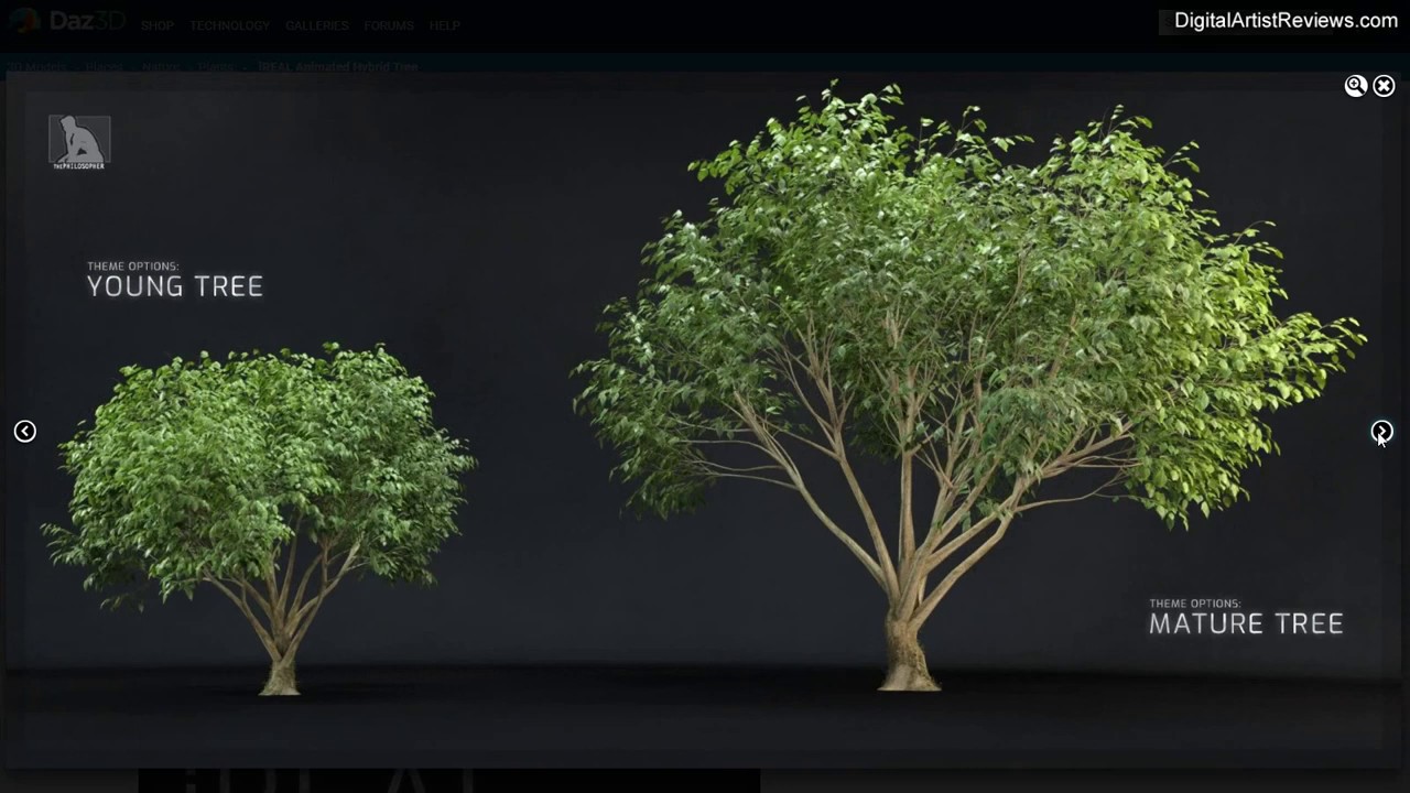 iREAL Animated Hybrid Tree - DAZ Studio - Review - YouTube