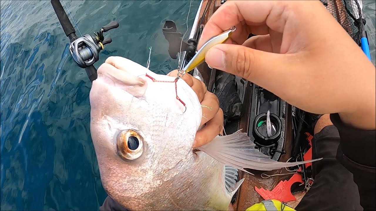 Catching snapper on MICRO JIG - NZ Kayak Fishing - YouTube