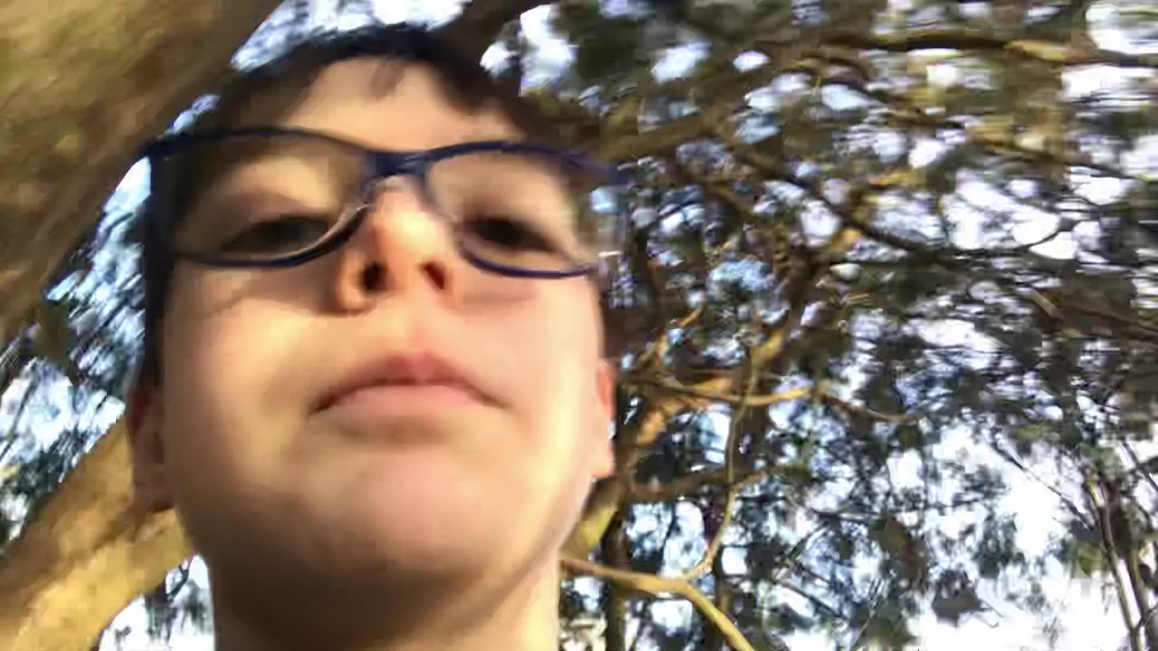 Some Random Crap in a tree - YouTube