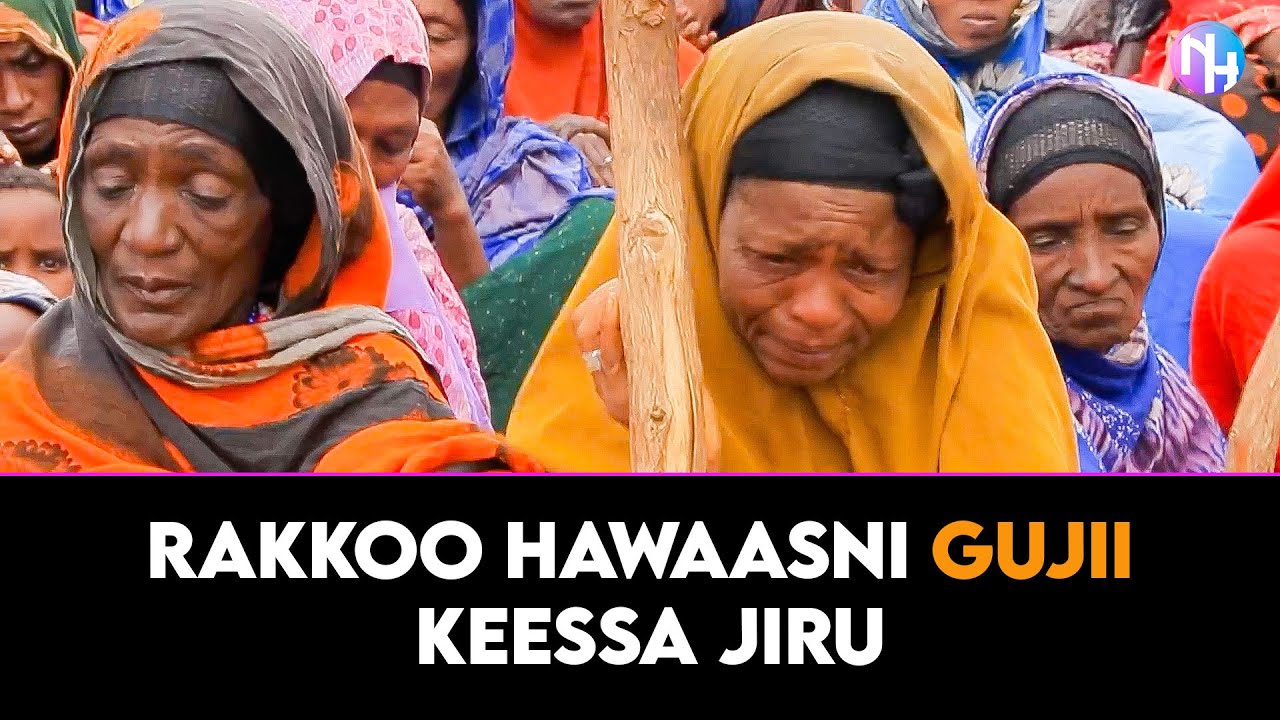 Rakkoo hawaasni Gujii keessa jiru - YouTube