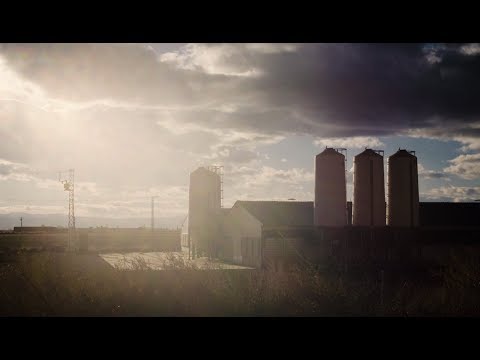 Turning Mushrooms Into Bio-based Products - BIOrescue