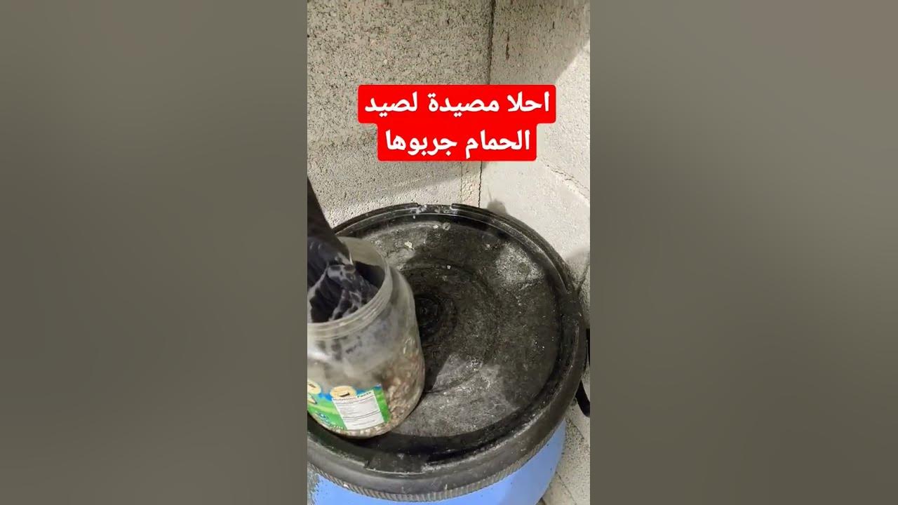 احلا مصيدة لصيد الحمام اعطونه رايكم Youtube