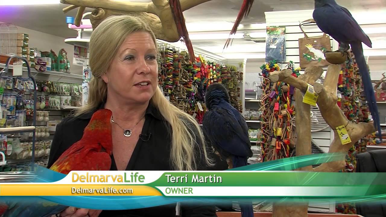 M&D Bird Farm on DelmarvaLife - YouTube