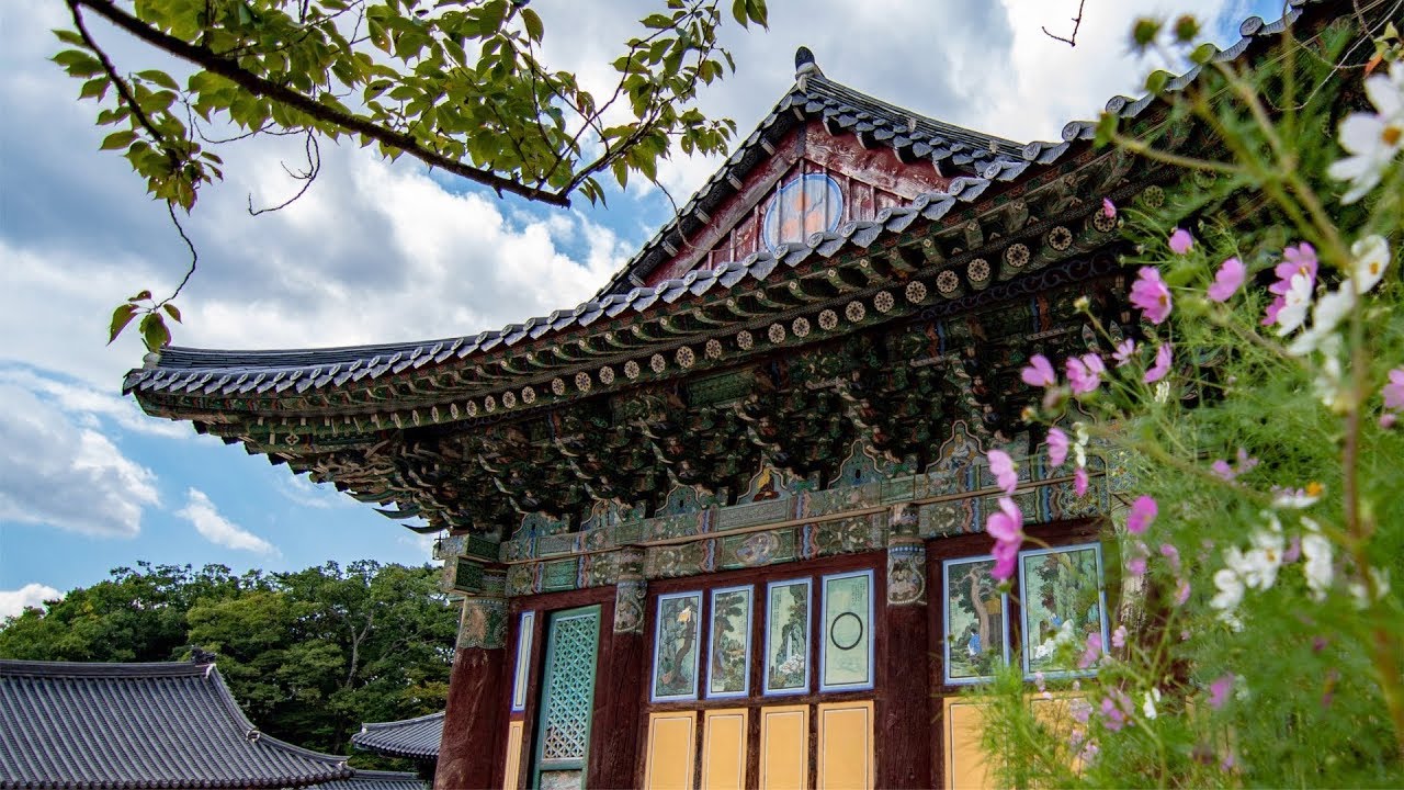 Discovering Daegu | Part #2 - Donghwasa Temple (Templestay ...