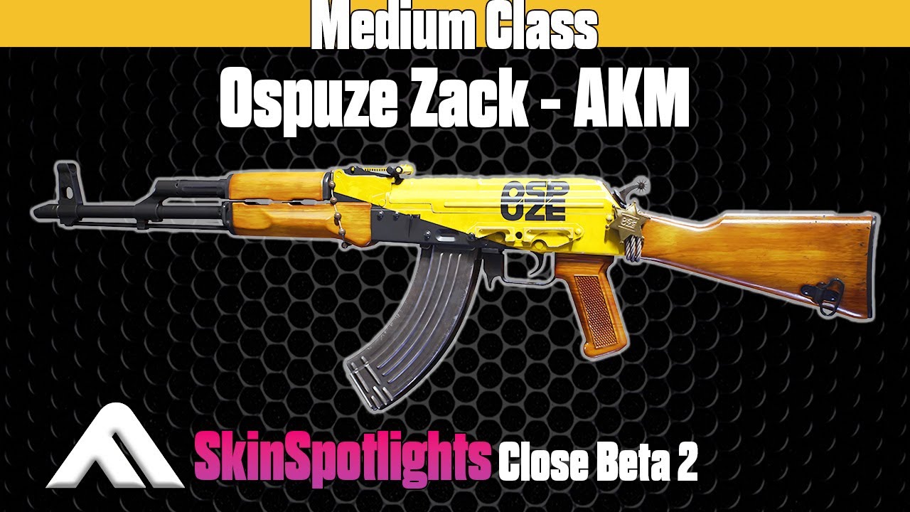 THE FINALS - OSPUZE ZACK - AKM - SKIN SPOTLIGHT 2024 - YouTube