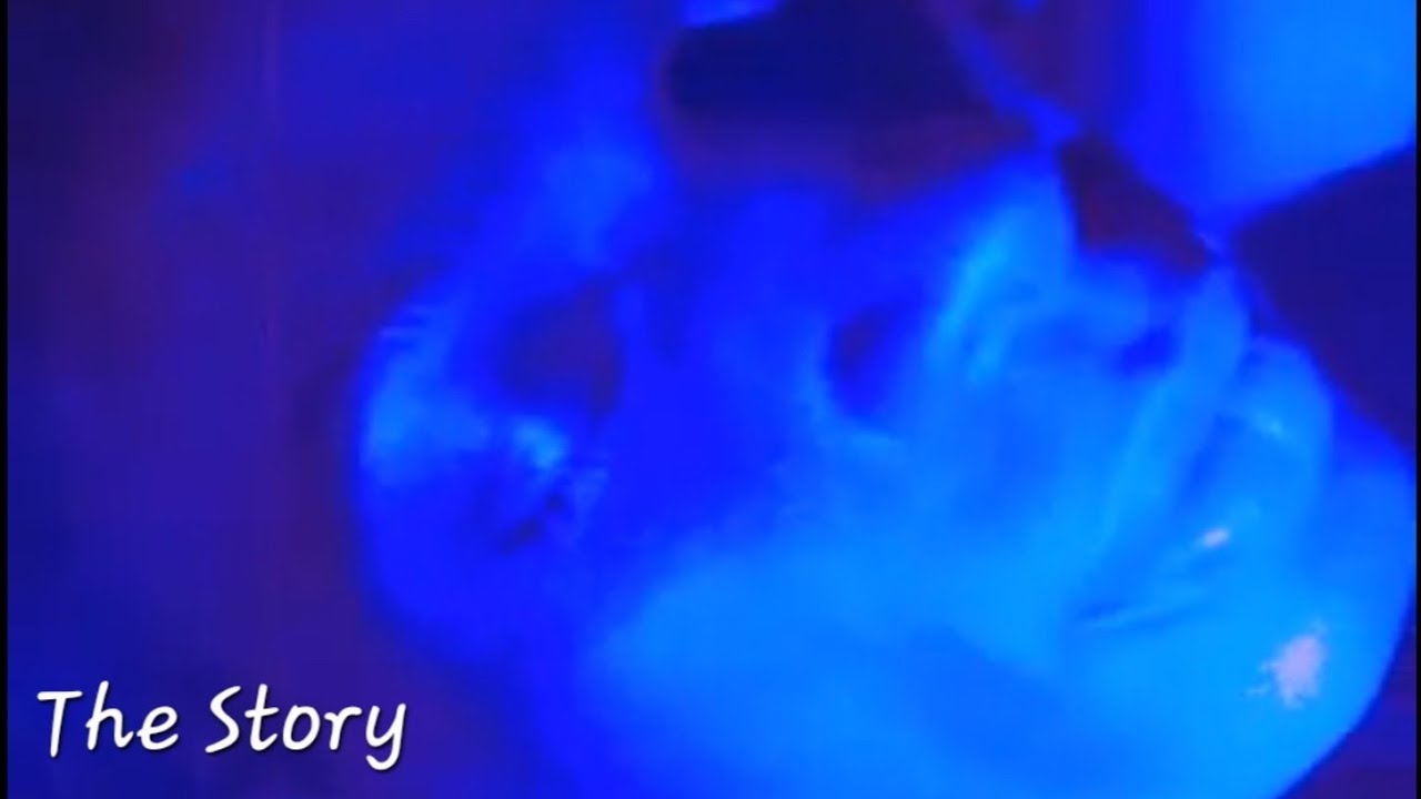 The Story by Steven F Gooden-Cohen - YouTube
