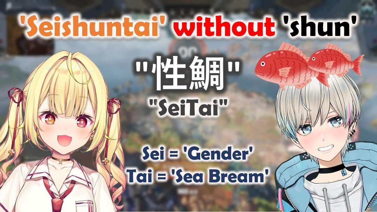【ENG SUB】Seishuntai without 'shun' - SeiTai Highlights【Hoshikawa Sara ...