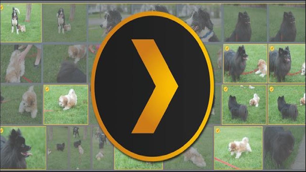 Plex microsoft store - generatorple