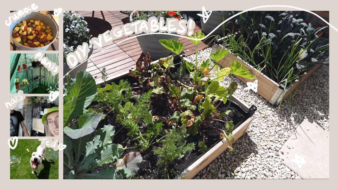 Vlog #18 - How to Grow Food at Home! Garden Upgrades & a Sunday full of ...