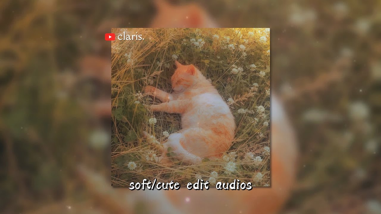 soft/cute edit audios for you and your comfort character(s) - YouTube