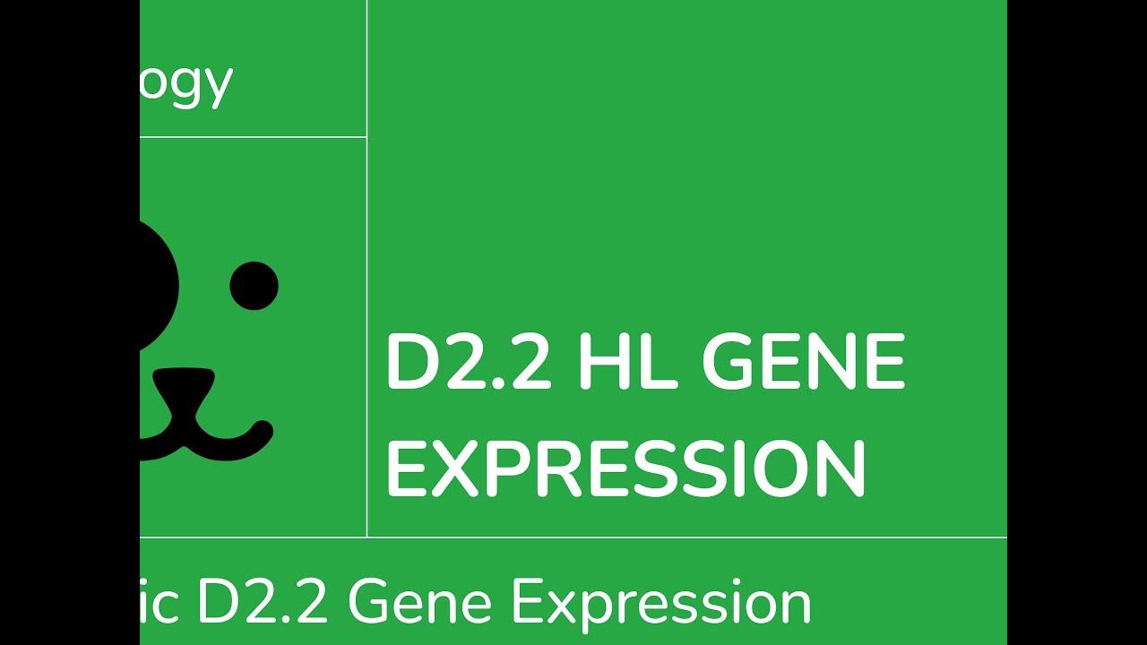 D2.2 HL Genetic Expression [IB Biology HL] - YouTube