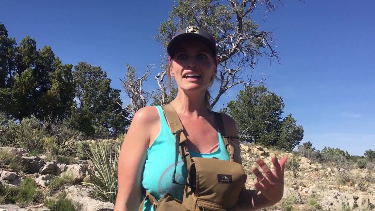 Arizona Strip Shed Hunting with Family Antler Trader - YouTube