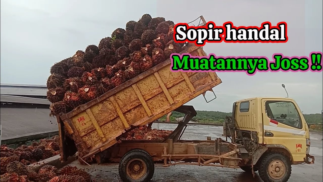 mobil truk sawit muatan 7 ton - YouTube