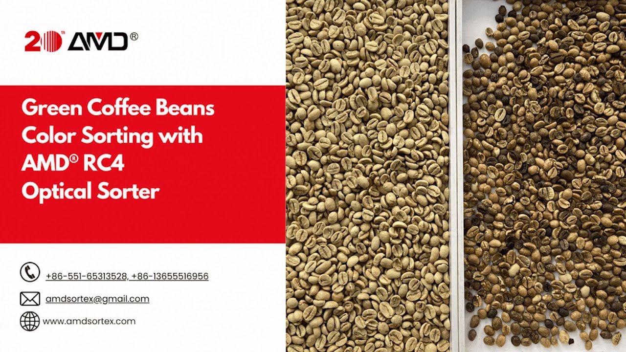 Green Coffee Beans Color Sorting with AMD® RC4 Optical Sorter - YouTube