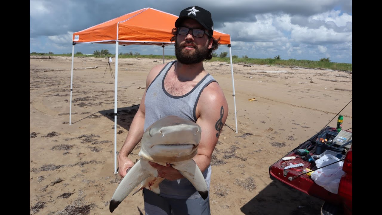 Surf Fishing For Sharks! - YouTube