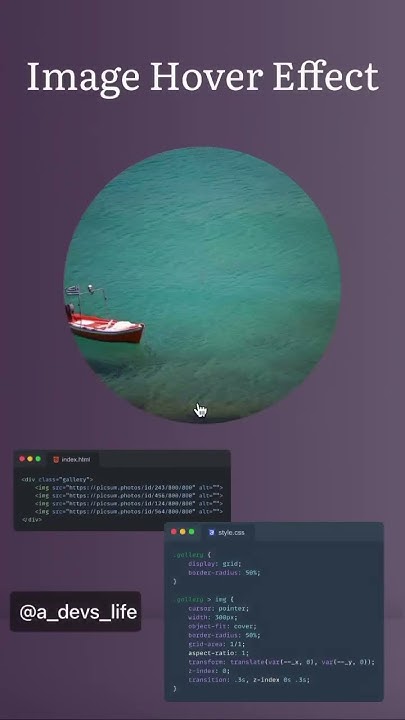 Image Hover Effect Using Pure Css Css3 Csstips Csstricks Viral Shorts Youtube