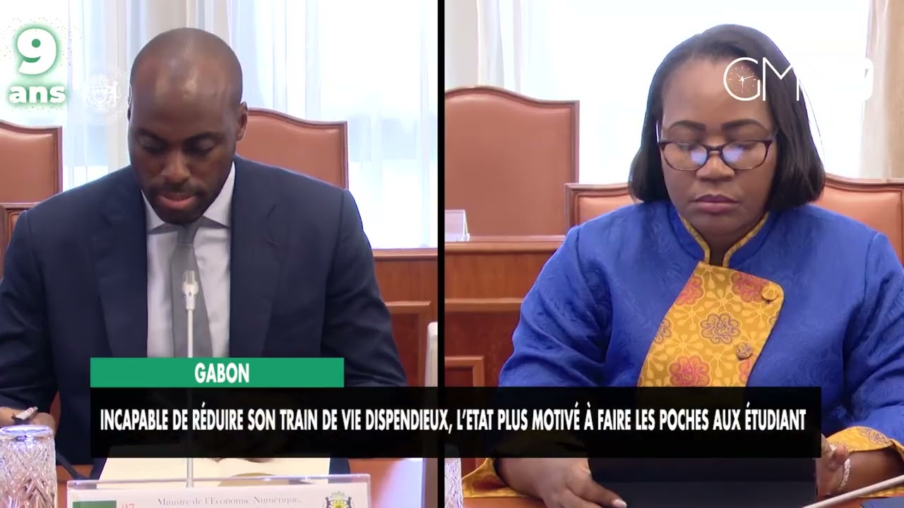Gabon: les nouveaux Codes pénal et civil désormais disponibles au ...