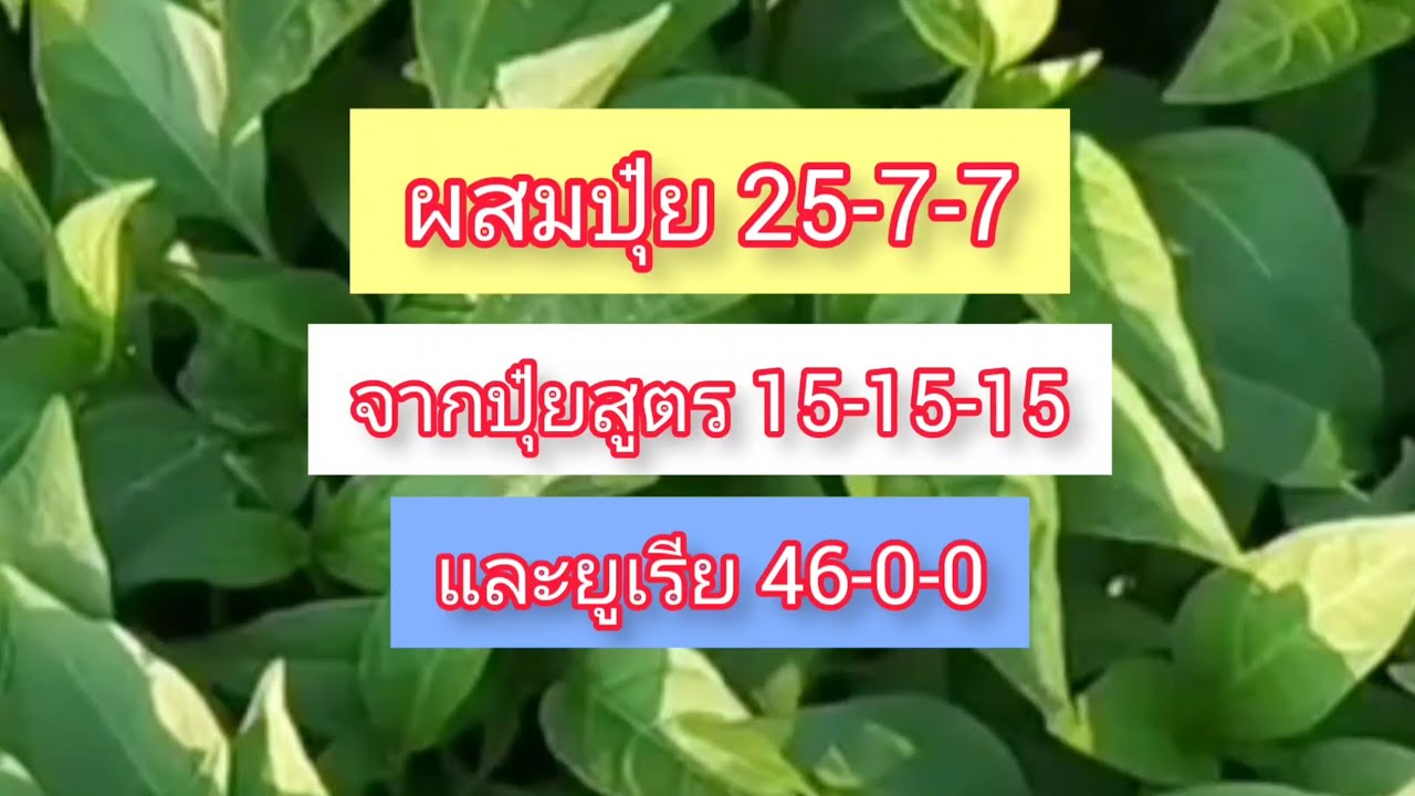 ผสมปุ๋ย 25-7-7 จากปุ๋ยสูตร 15-15-15และยูเรีย 46-0-0 - YouTube